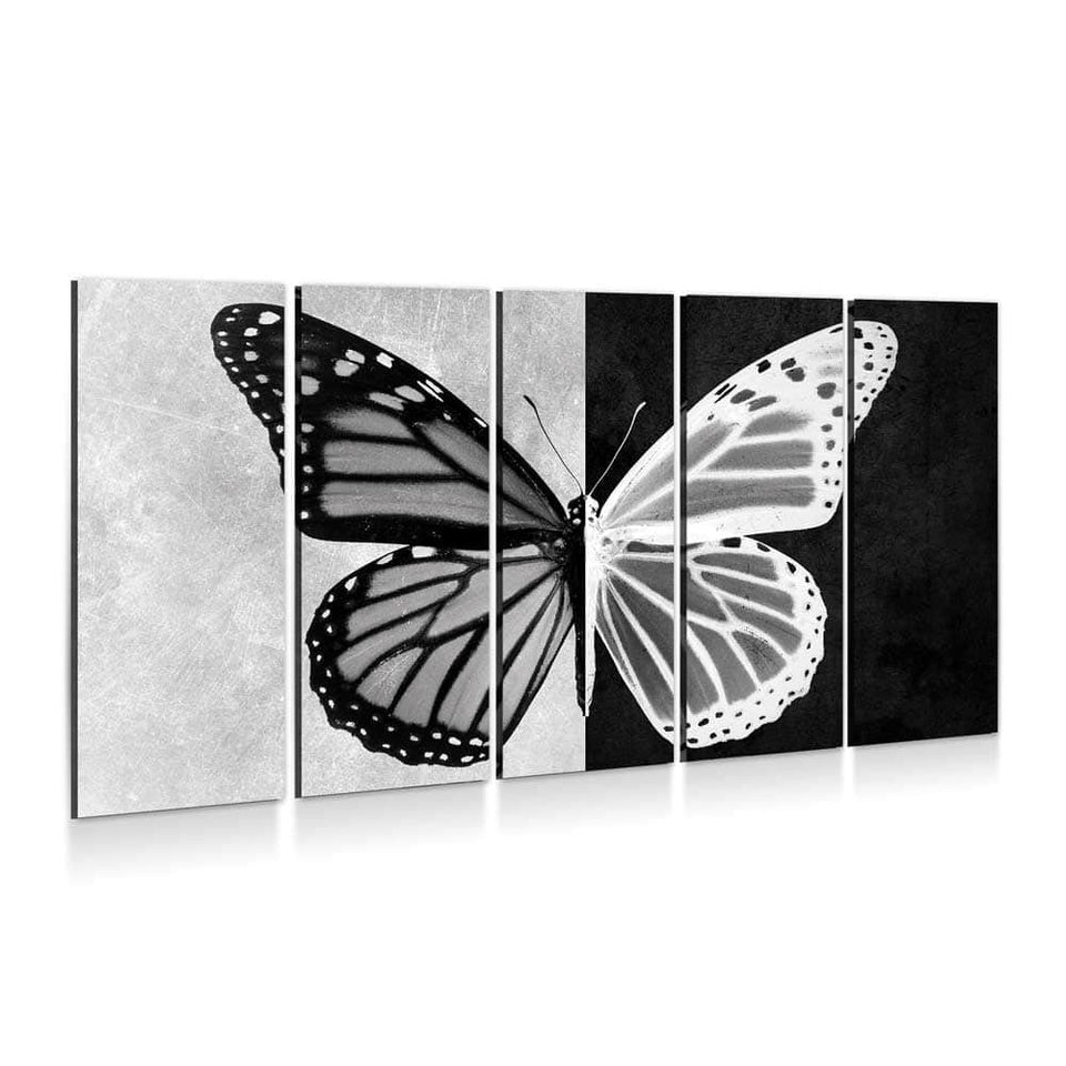 Butterfly Contrast Wall Art – Canvas Freaks