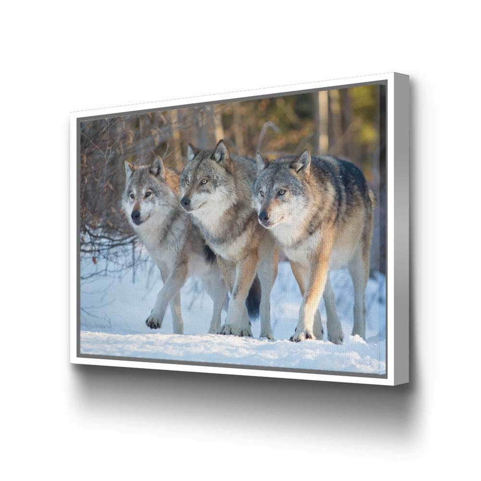Wolf Pack Wall Art – Canvas Freaks