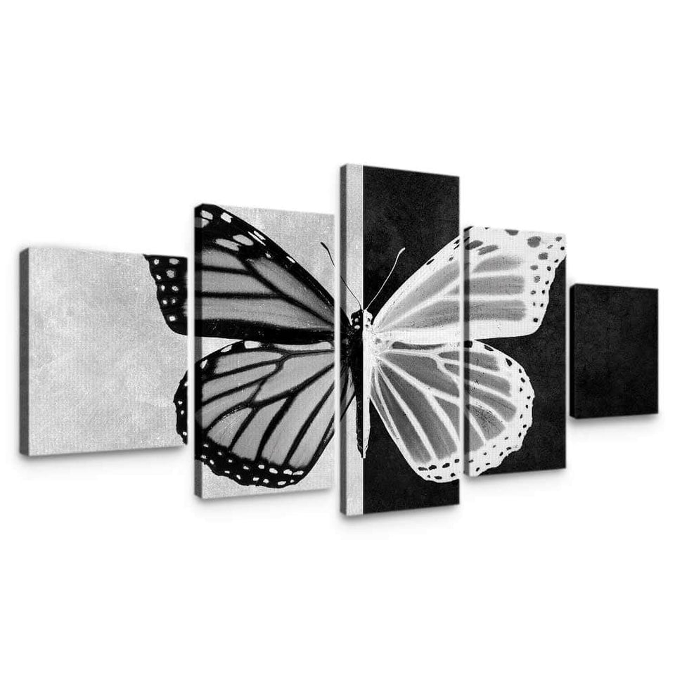 Butterfly Contrast Wall Art – Canvas Freaks