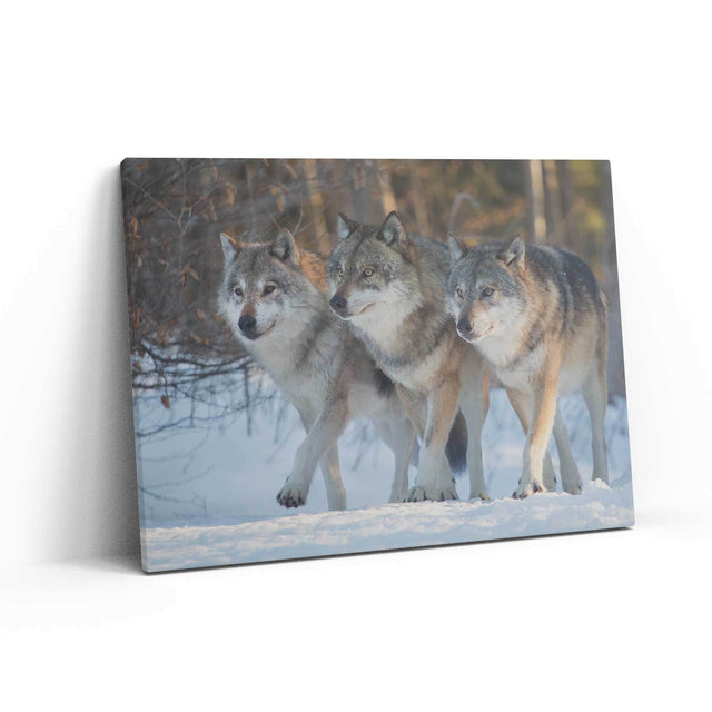Wolf Pack Wall Art – Canvas Freaks