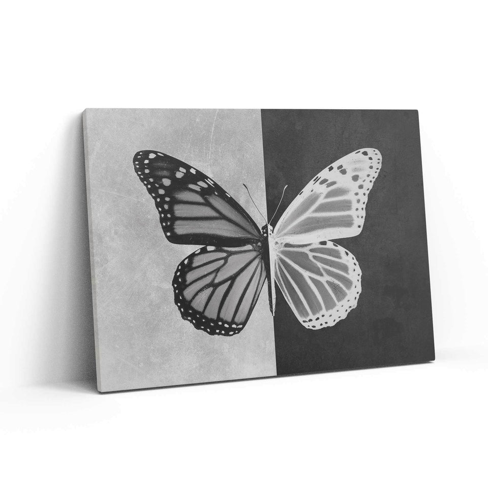 Butterfly Contrast Wall Art – Canvas Freaks