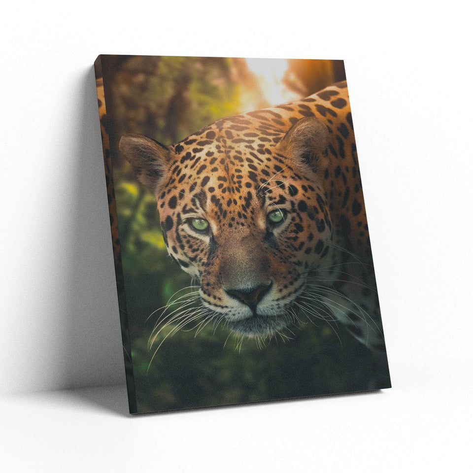 Leopard Amazone Wall Art – Canvas Freaks