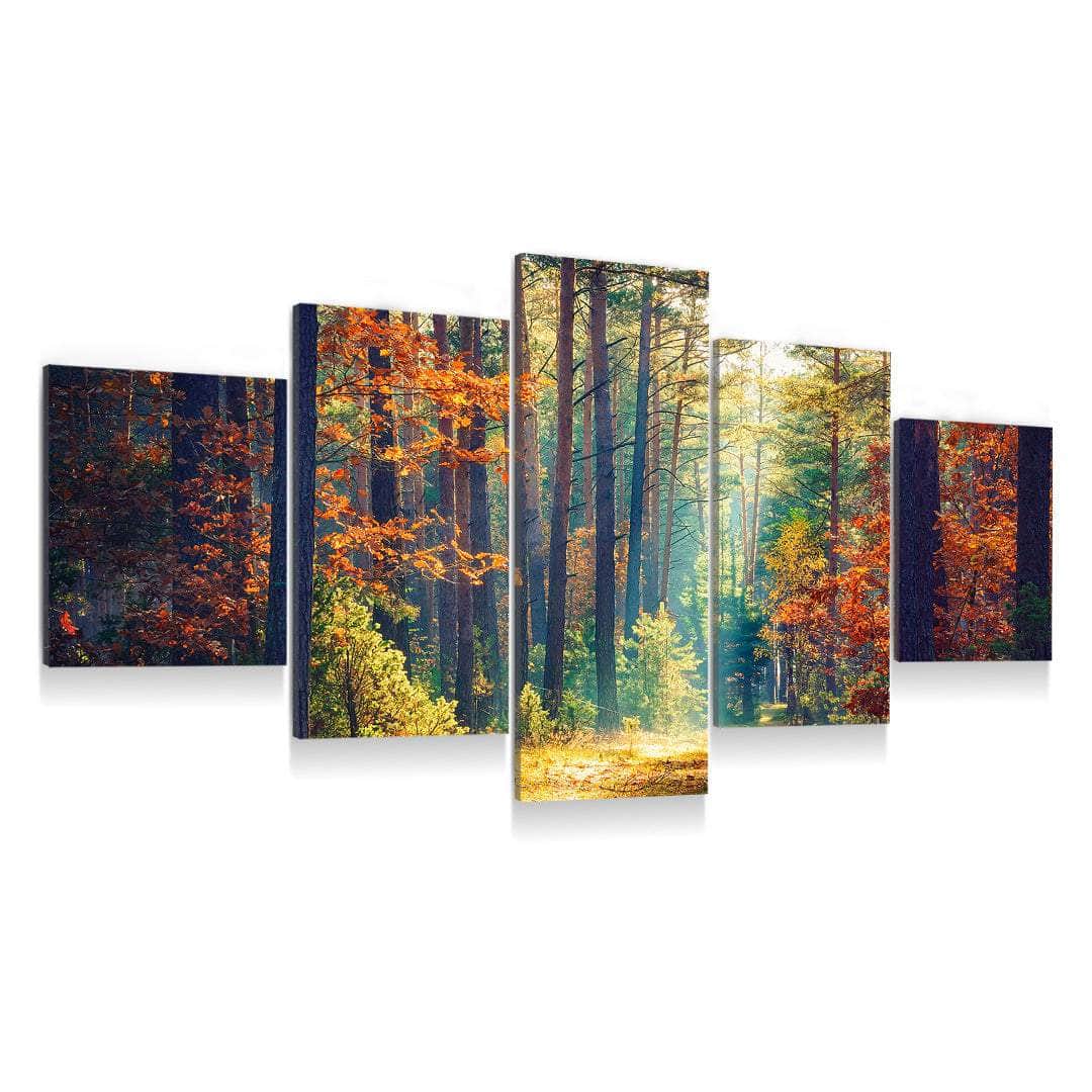 Autumn Forest Wall Art – Canvas Freaks