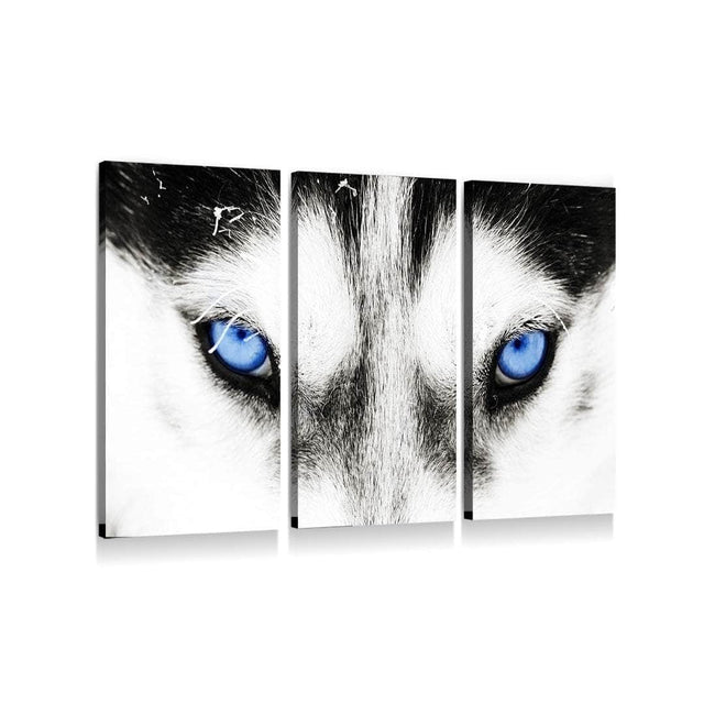 Wolf Eyes Wall Art – Canvas Freaks