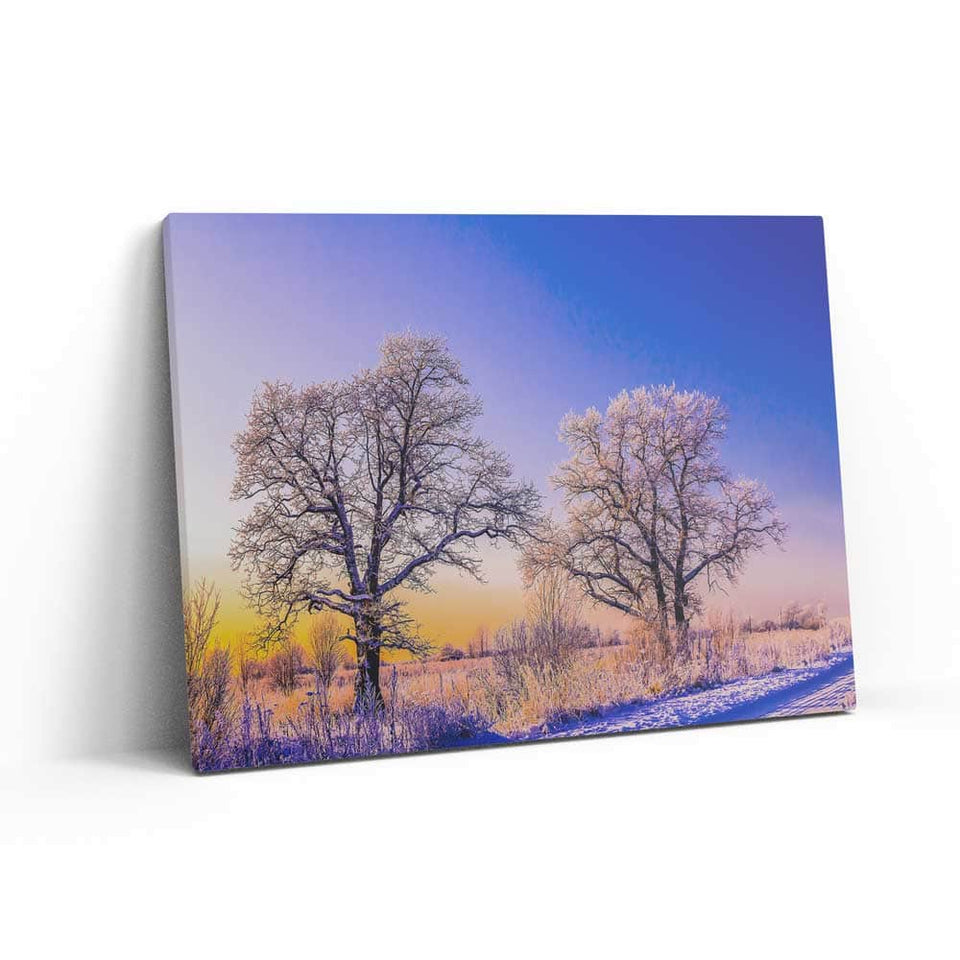 Cold Trees Wall Art – Canvas Freaks