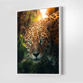 Leopard Amazone Wall Art – Canvas Freaks