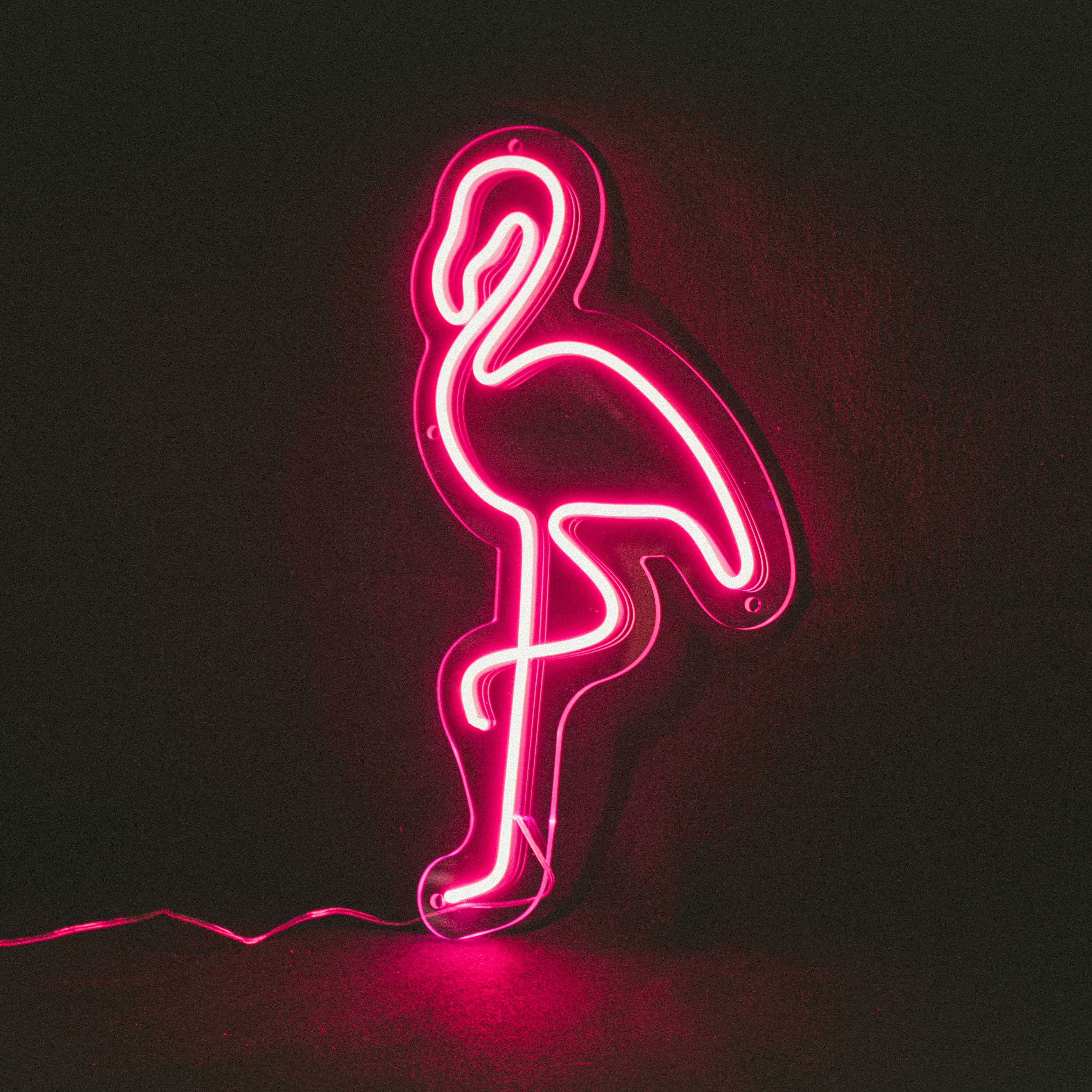 Flamingo Neon Sign – Canvas Freaks