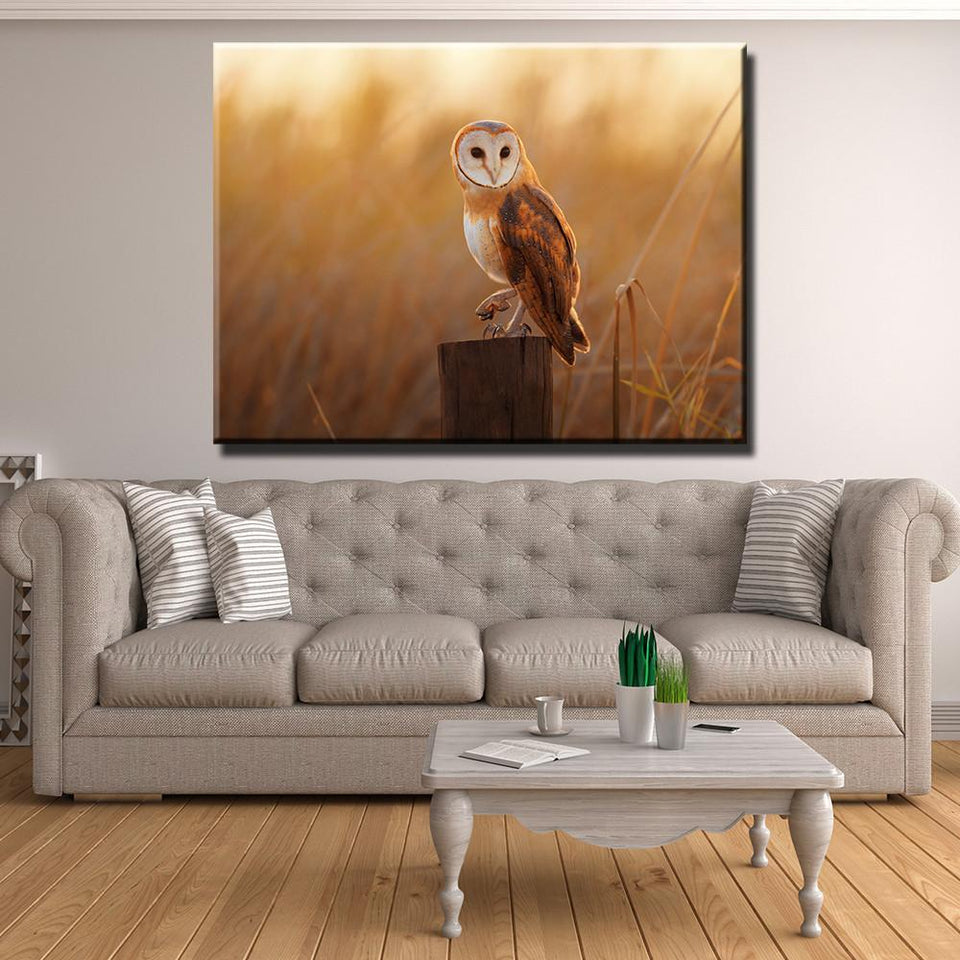 Owl Wall Art – Canvas Freaks