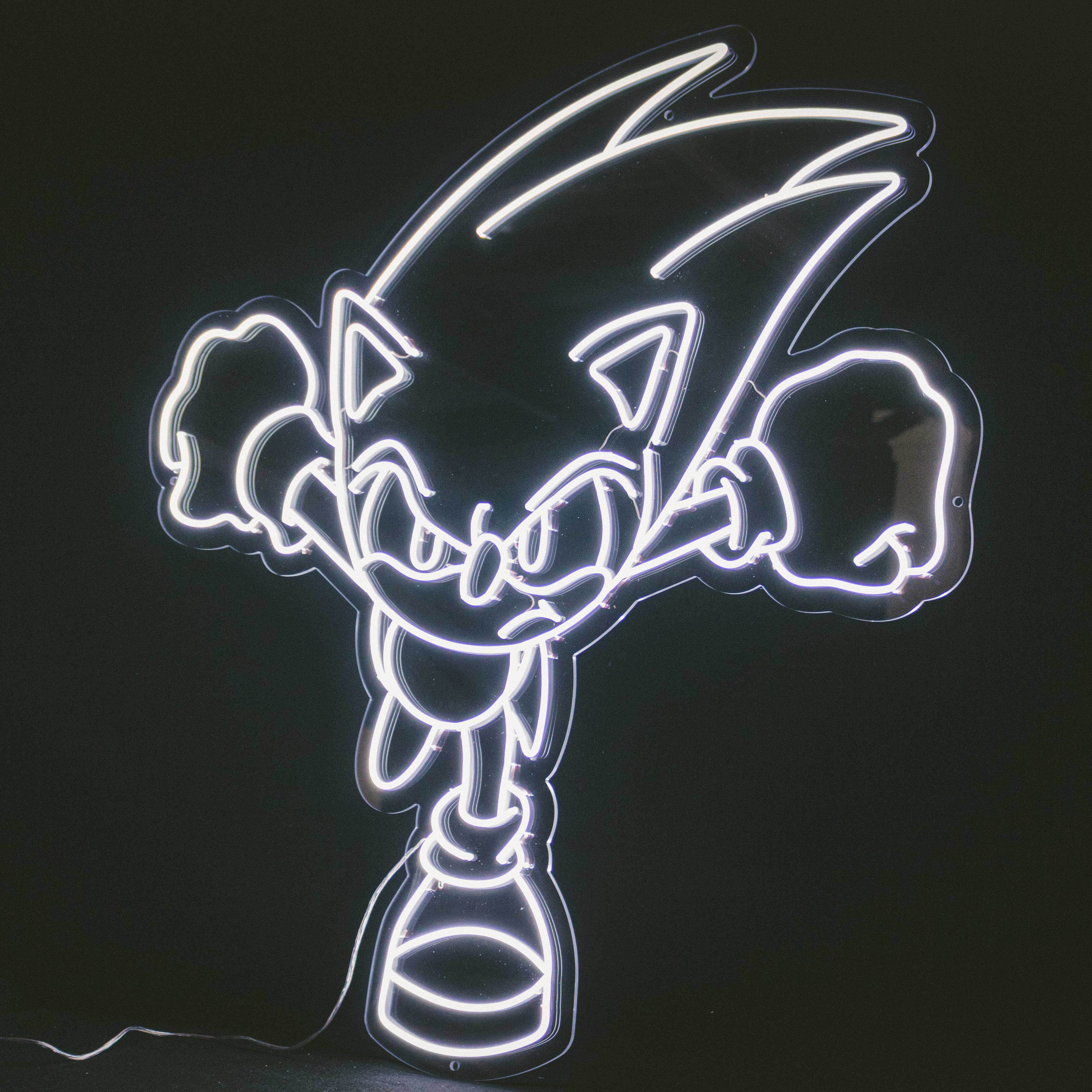 Sonic Neon Sign – Canvas Freaks