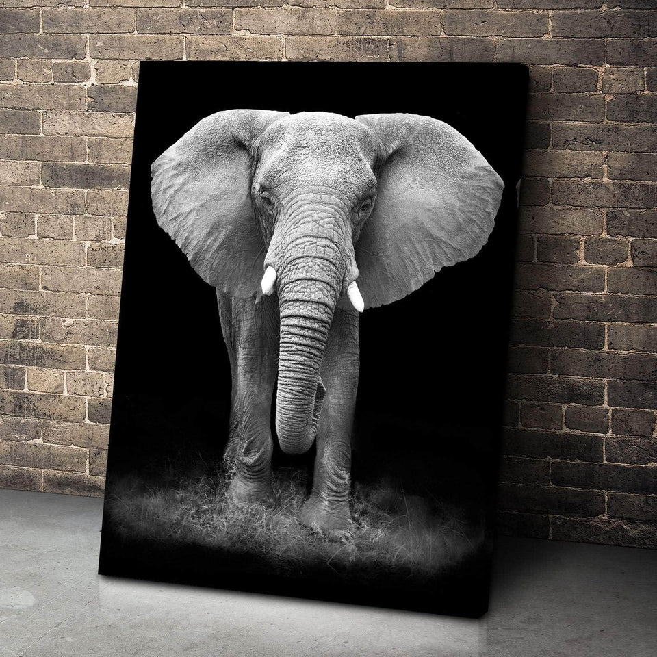 Wise Elephant Wall Art – Canvas Freaks
