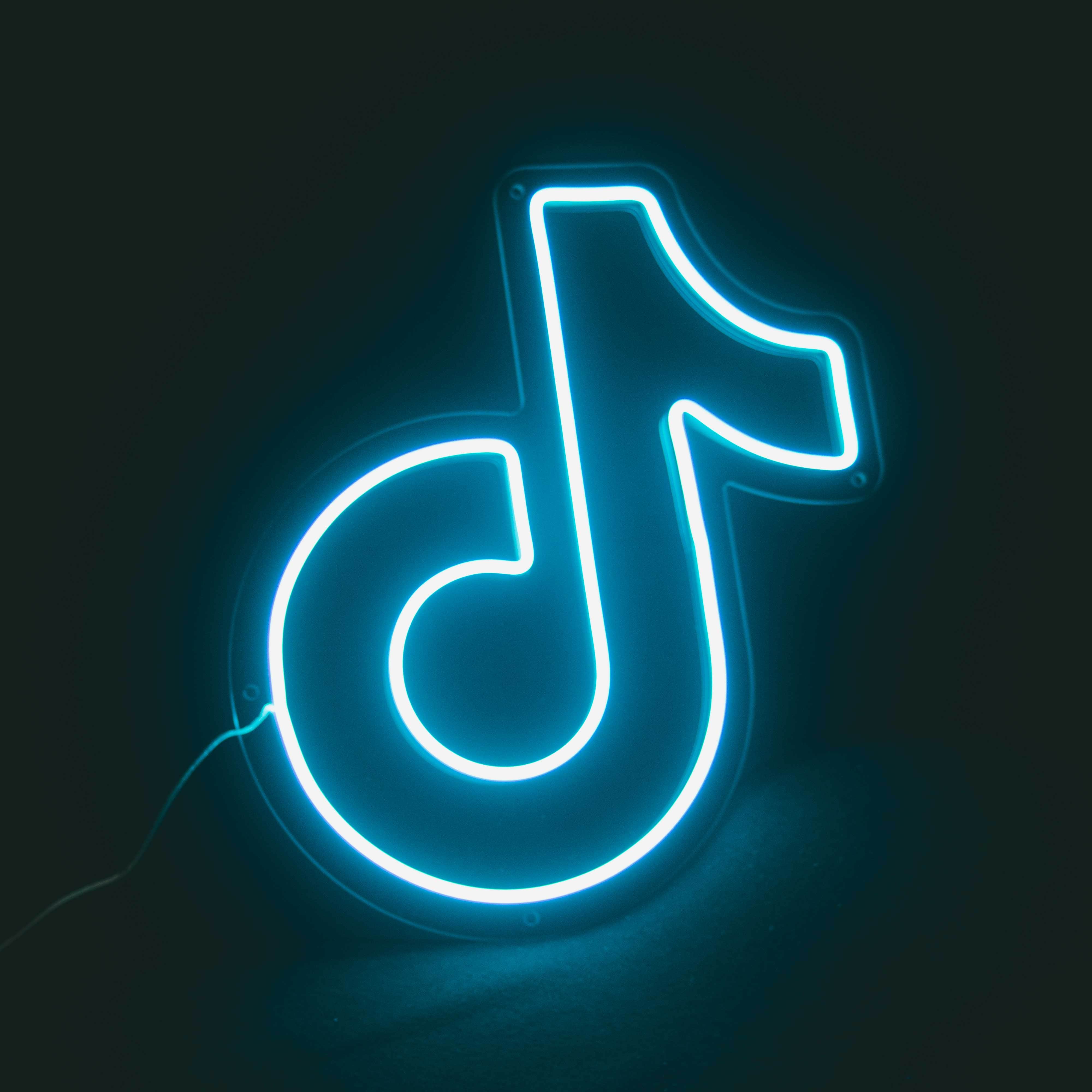 TikTok Neon Sign – Canvas Freaks